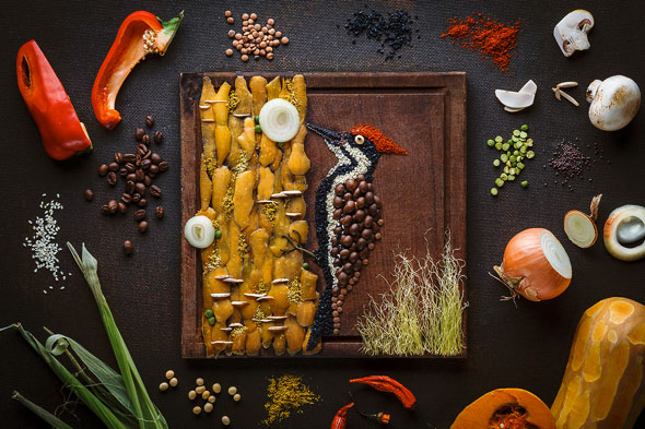 Bird Illustrations Made From Food | Foodiggity