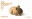 Inglorious Fruits and Vegetables, An Initiative That Encourages Sales ...