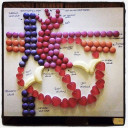 Candy Anatomy, A Med Student Creates A Sweet Way To Learn About The ...