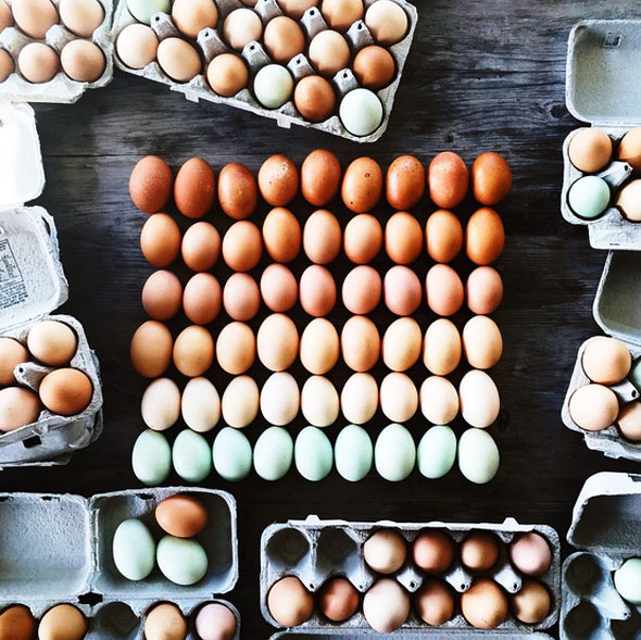 Foods Arranged Neatly To Form Gradients of Color And Shape – Foodiggity